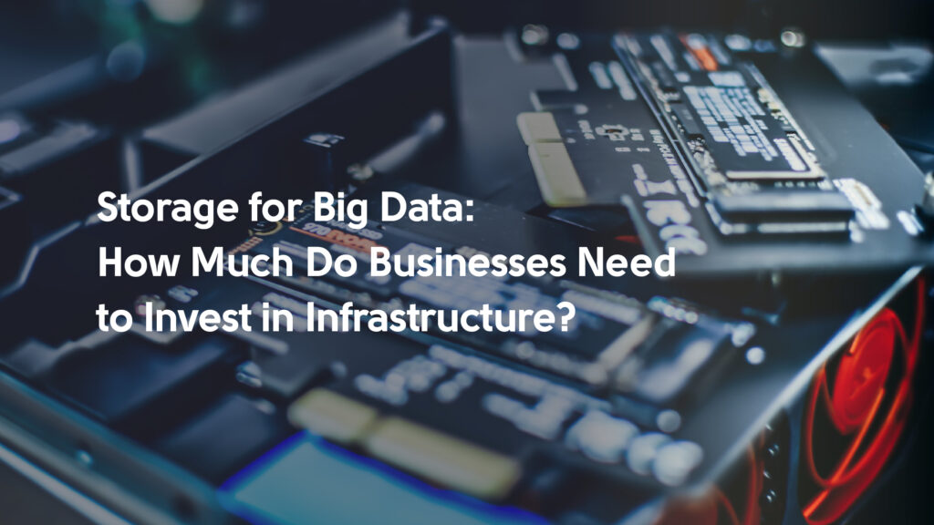 Big Data Storage Cost: How Much to Invest in Infrastructure?