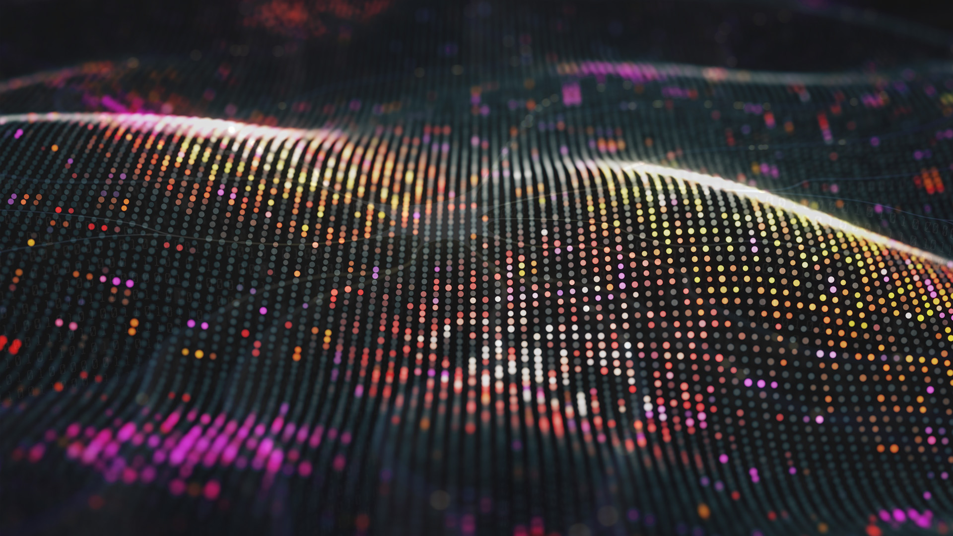 Up-to-Date Neural Network Training Methods by Svitla Team